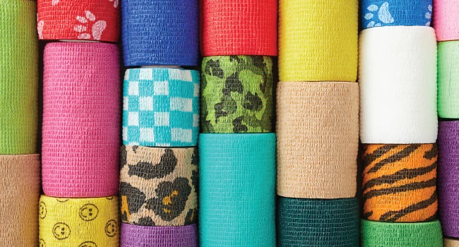 Vet Wrap: an essential tool in Veterinary Field